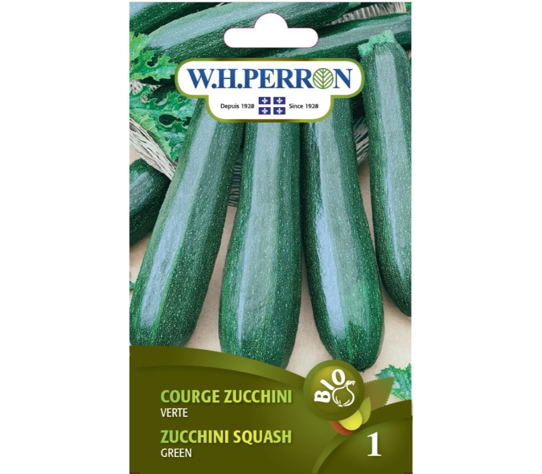 Courge Zucchini Vert Biologique (Semences) - Floralies Jouvence