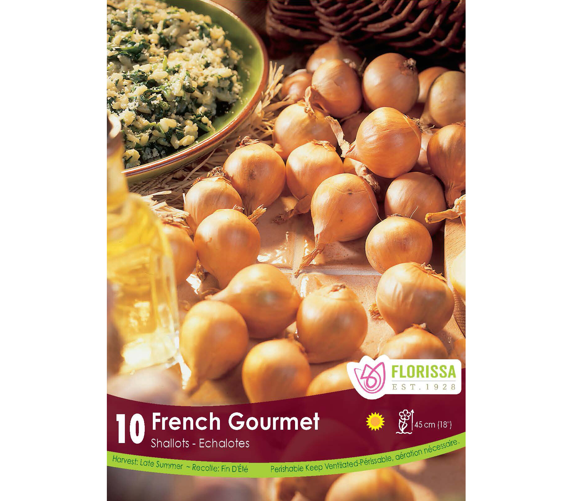 Échalote française - Laval (Paquet de 10) - Floralies Jouvence