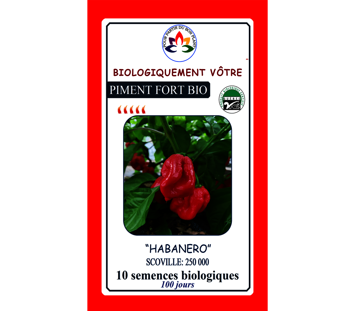 Piment fort Habanero rouge Biologique (Semences) - Floralies Jouvence