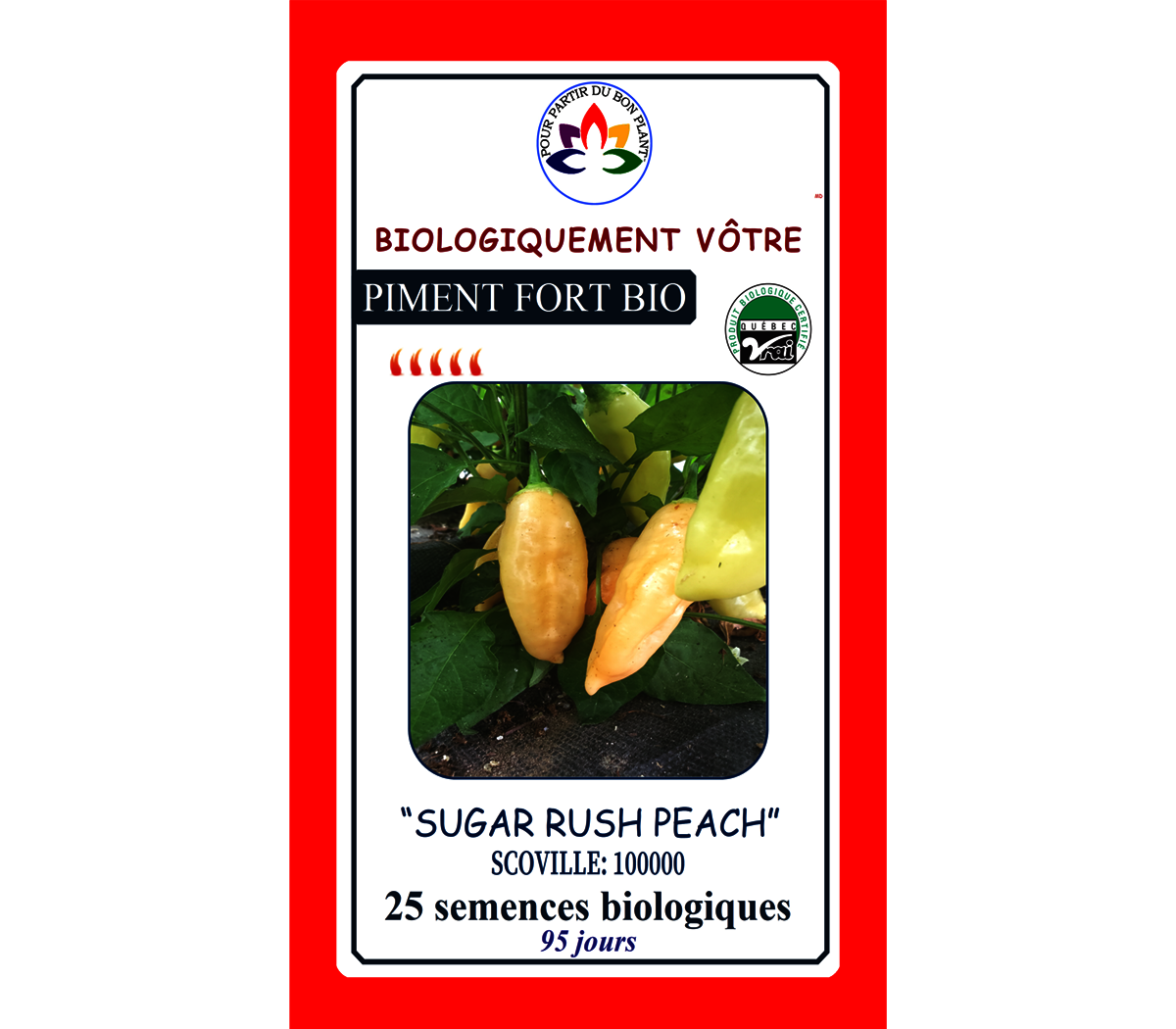 Piment fort Sugar Rush pêche Biologique (Semences) - Floralies Jouvence